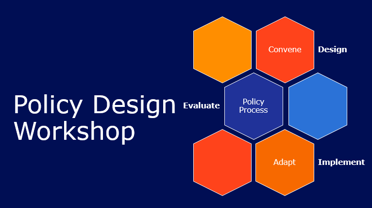 Policy Design and Implementation in a Global Environment